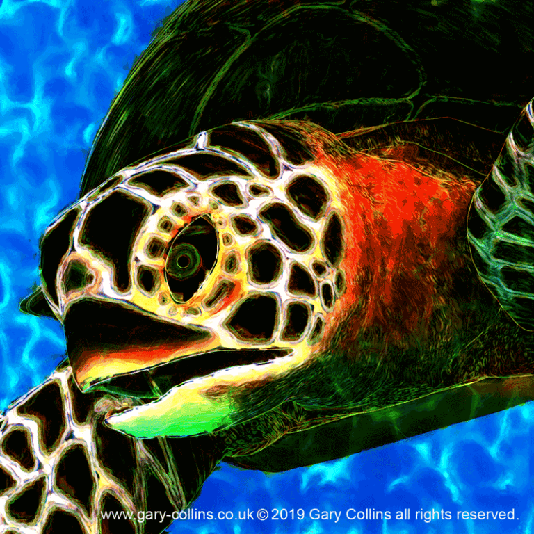 Illustrator. | Illustrator, Animator, Concept Artist.