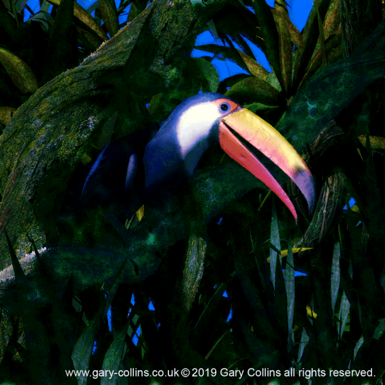 Illustrator. | Illustrator, Animator, Concept Artist.